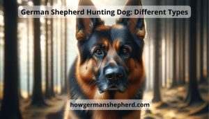German Shepherd Hunting Dog: 3 Different Types Shepherd